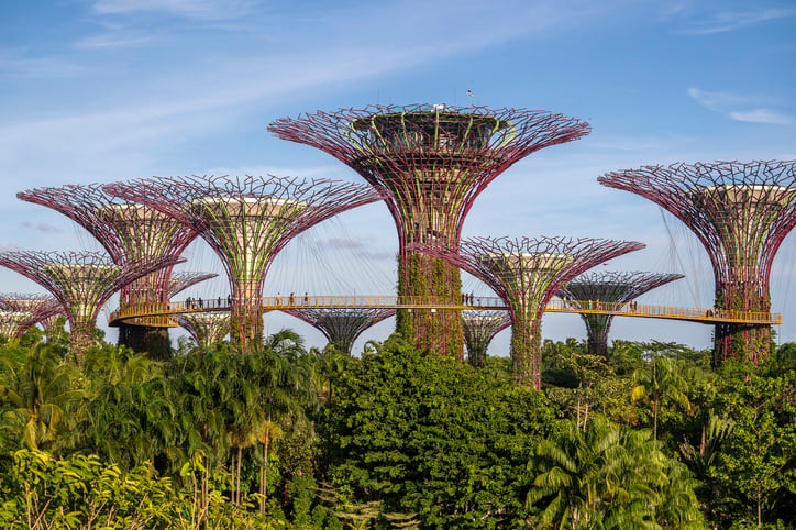 Building a Biophilic Movement: Three Examples of Biophilic Urban Spaces